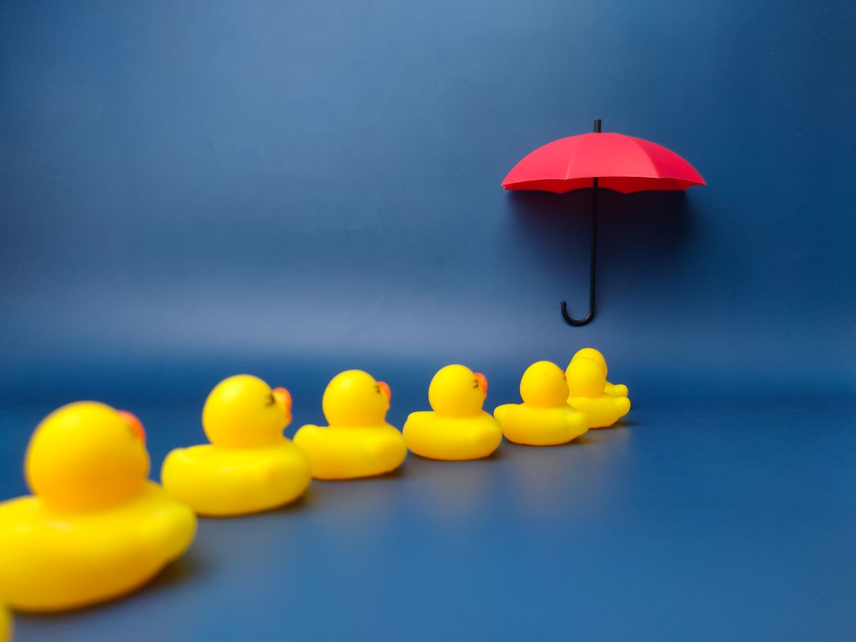 TU Warta ubezpieczenie grupowe. Czy to dobra polisa na życie ...